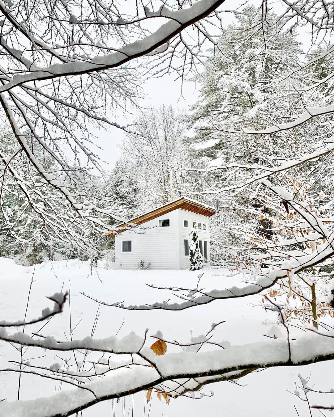 Honeycrisp Cottage in Southern Vermont: A 280 Square Foot Getaway