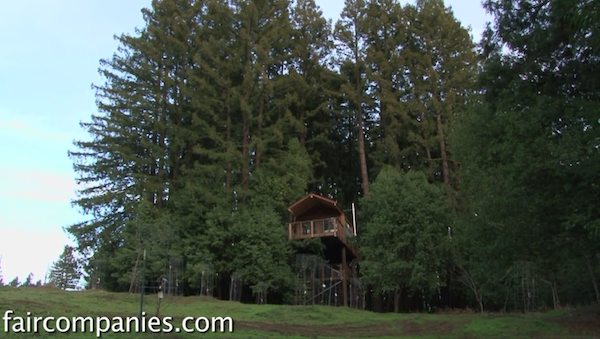 Tiny House Legalized as Observation Tower