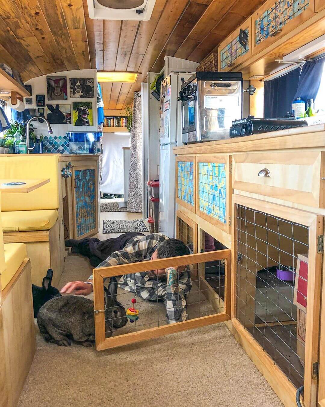 Two People and 5 Rescued Animals (Including Two Bunnies) Travelling in ...