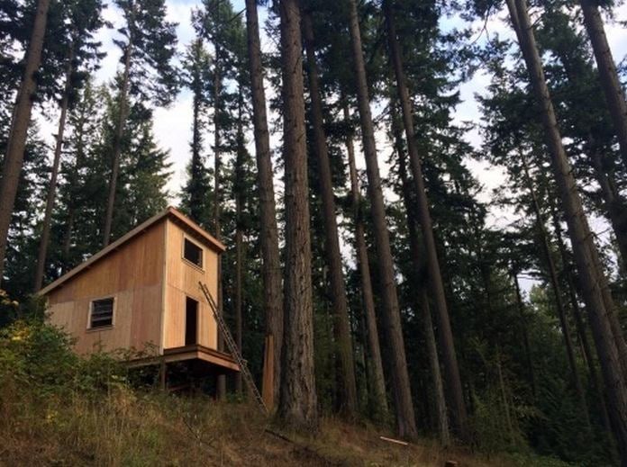 Friends Build a 200 Sq. Ft. Tiny Cabin in 6 Days for $6K
