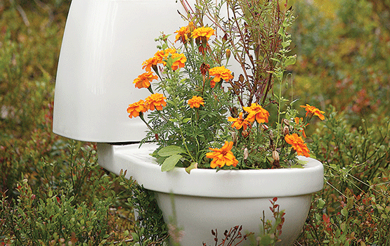 Changing the Conversation on Composting Toilets in Tiny Houses