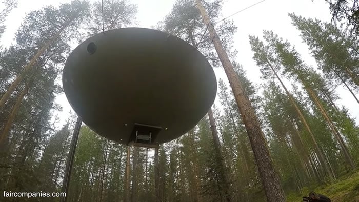 Village of Tree Houses in the Forest
