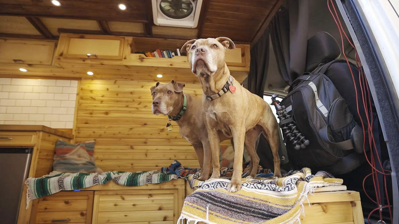 Woodworker Sells House, Builds Incredible Van